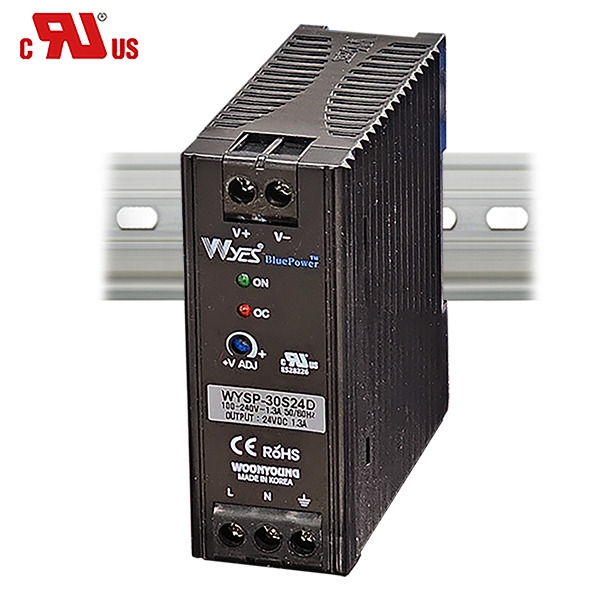 Bộ Nguồn Woonyoung - WYSP-100S24DP